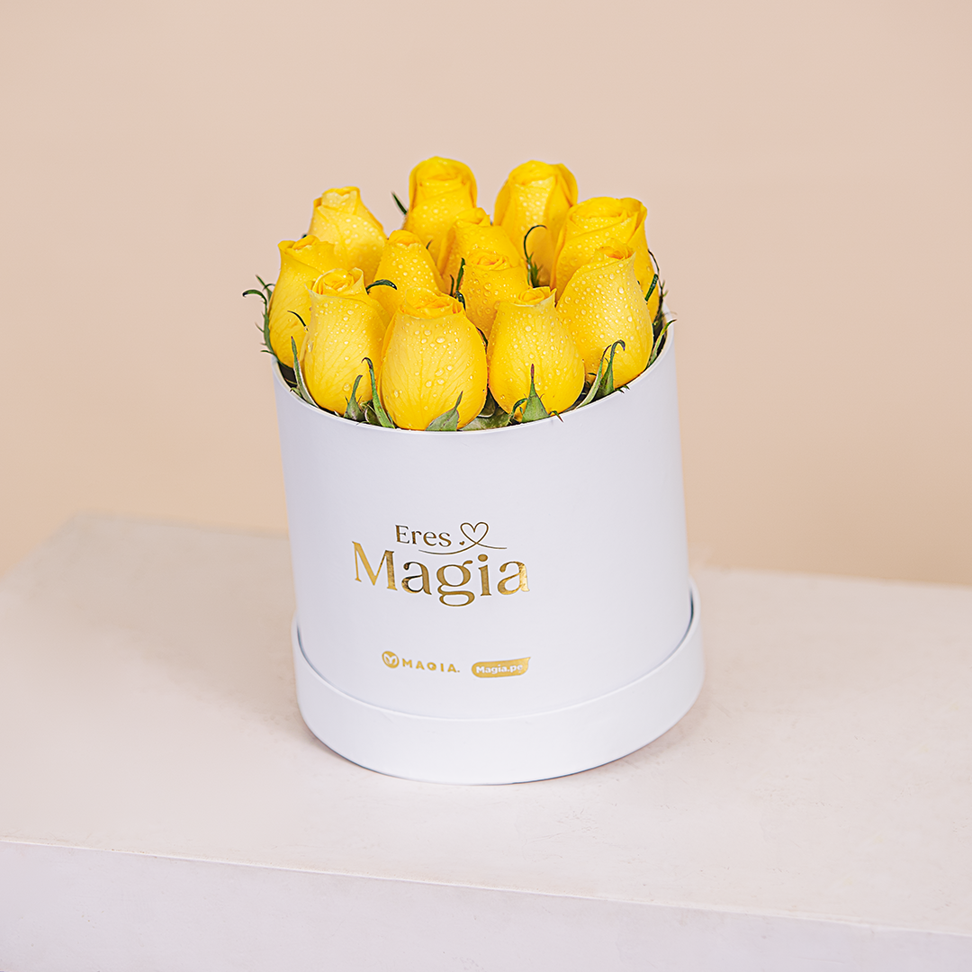 Envia un lindo Box 12 rosas amarillas – Magia.pe®